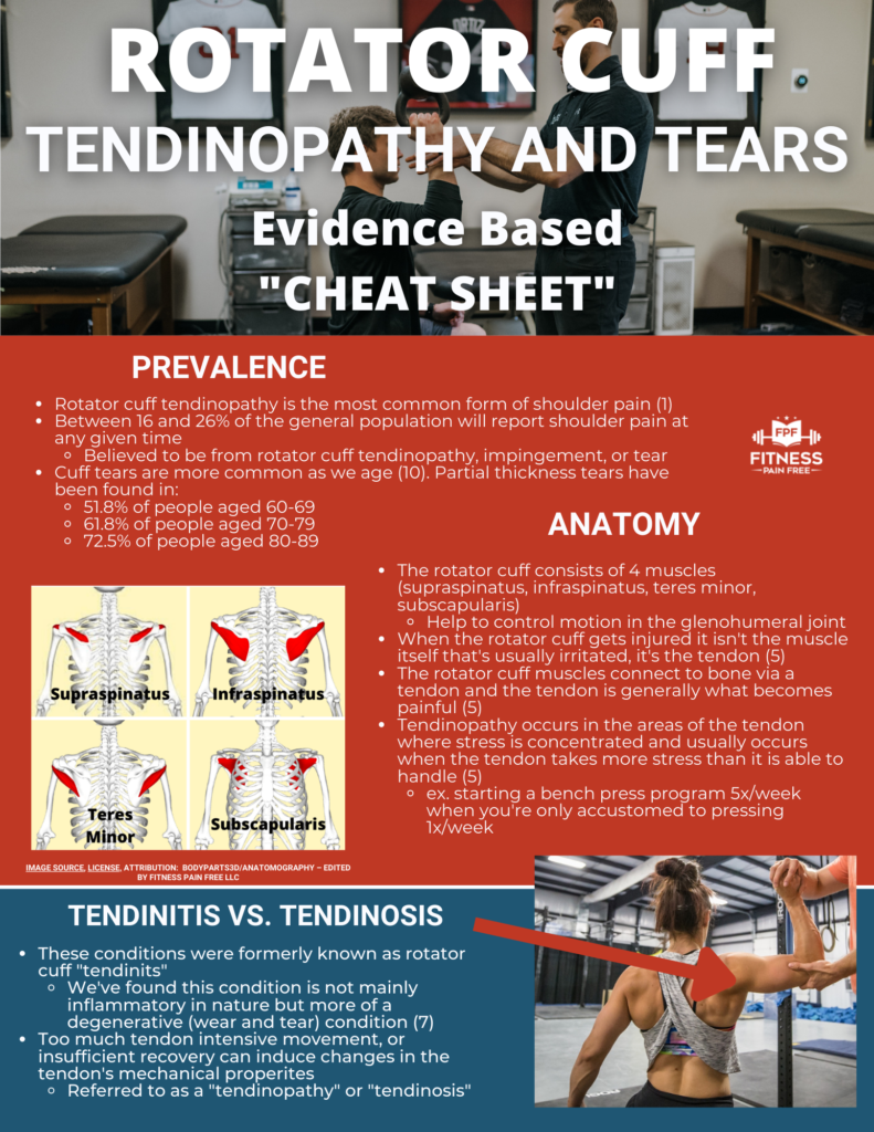 Rotator Cuff Tendinopathy and Tear Cheat Sheet – Lead Magnet - Fitness ... Rotator Cuff Tendinopathy and Tear Cheat Sheet – Lead Magnet - Fitness ...