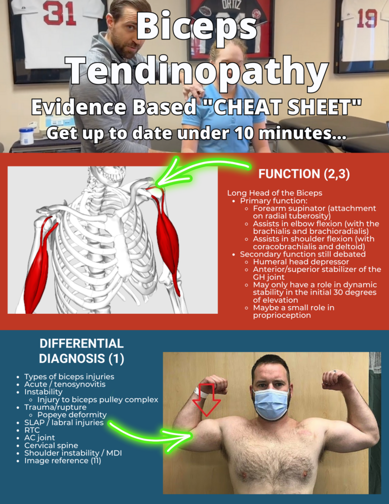 Biceps Tendinopathy Evidence Based Cheat Sheet – Lead Magnet - Fitness Pain Free