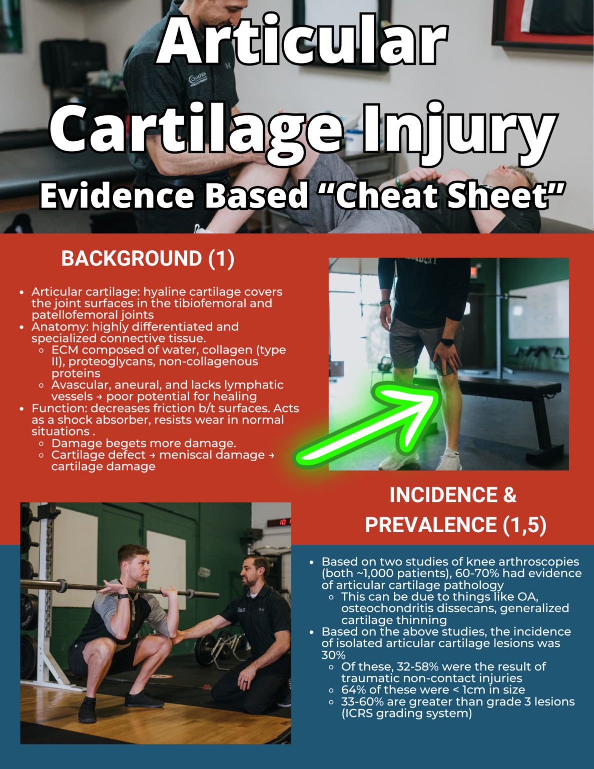 Articular Cartilage Cheat Sheet – Lead Magnet - Fitness Pain Free