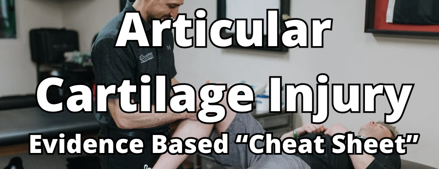 Articular Cartilage Cheat Sheet – Lead Magnet - Fitness Pain Free