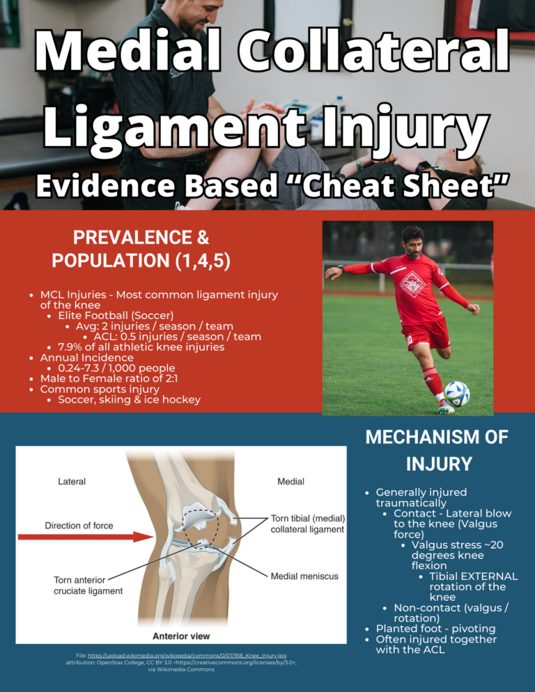 MCL Injury Cheat Sheet – Lead Magnet - Fitness Pain Free