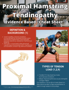 Proximal Hamstring Tendinopathy: What the Latest Research Says You ...